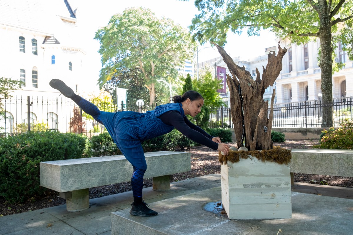 Emergence | RACHEL PARISH